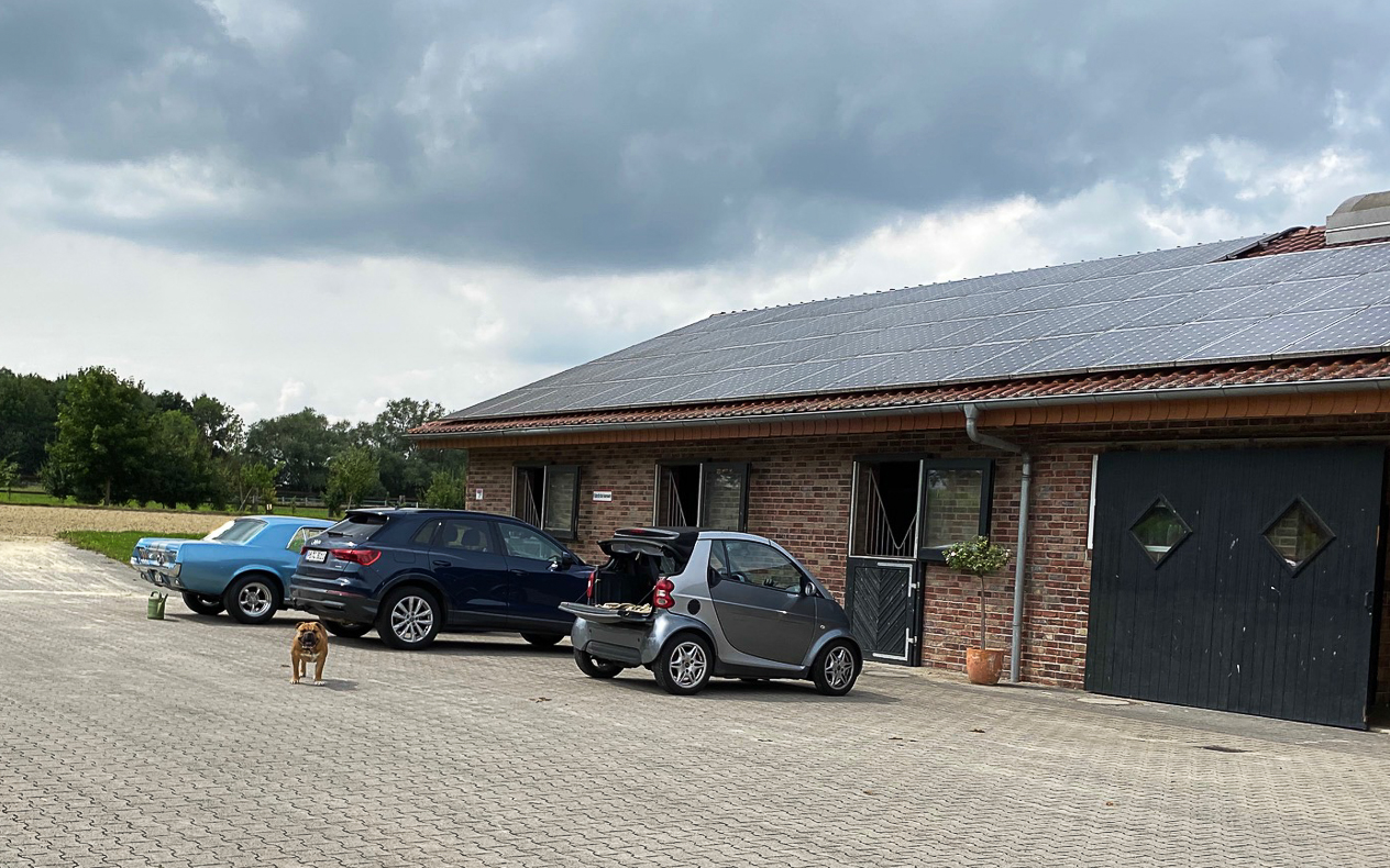 "Welpenbesuch" - Jason zu Hause... - Eleanors Continental Bulldogs